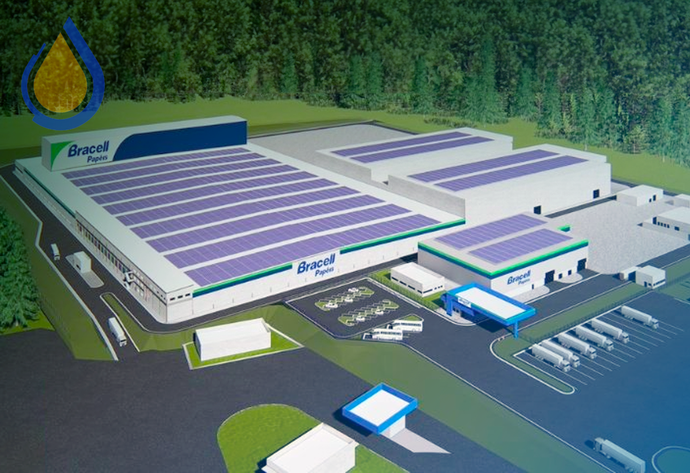 Bracell faz investimento bilionário na maior fábrica de papel tissue da ...